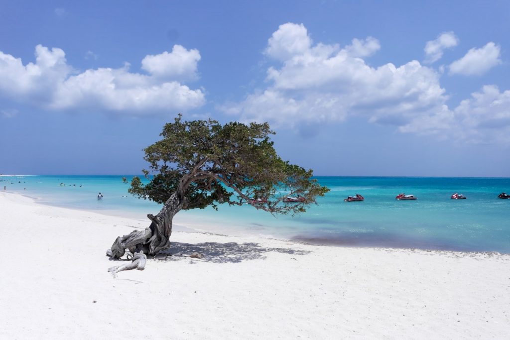 Karibische Traumstrände auf Aruba: Das sind Arubas schönste Strände