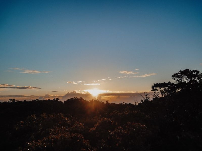 Hiking in the Blue Mountains: At sunrise over the rooftops of Jamaica